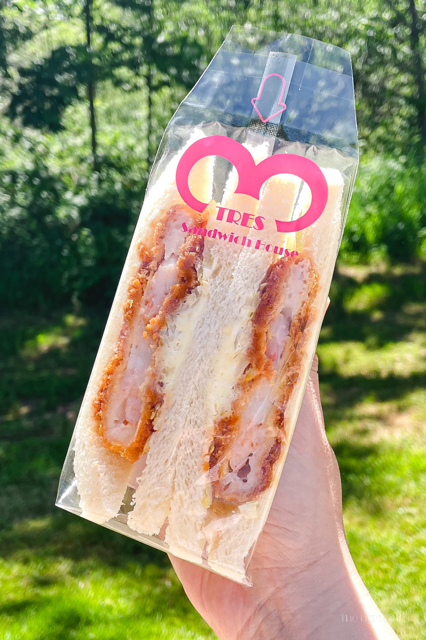 Tres Sandwich - The Dish Diary