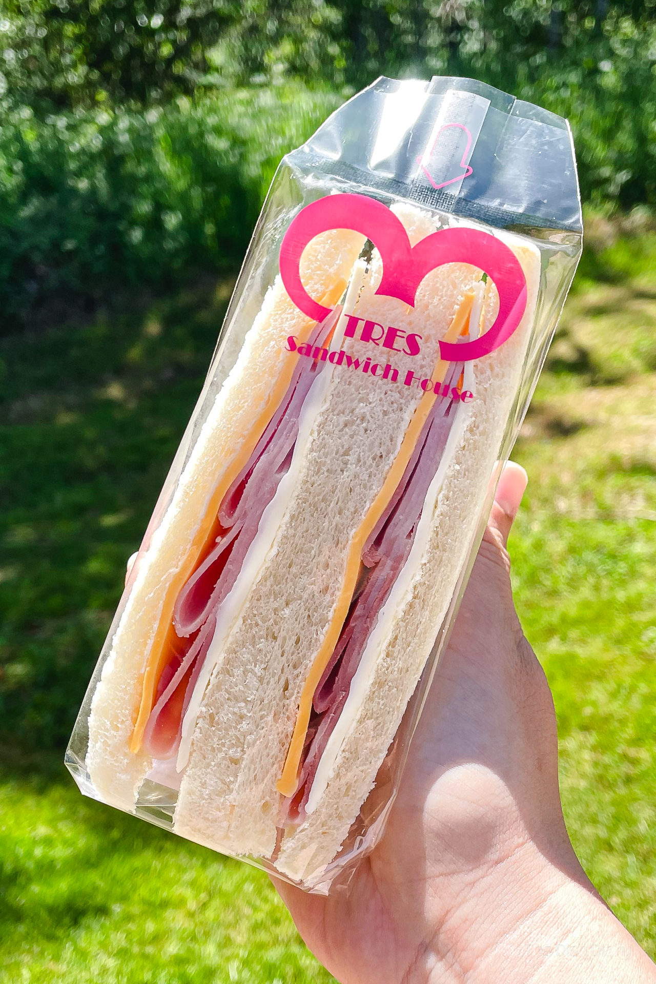 Tres Sandwich - The Dish Diary