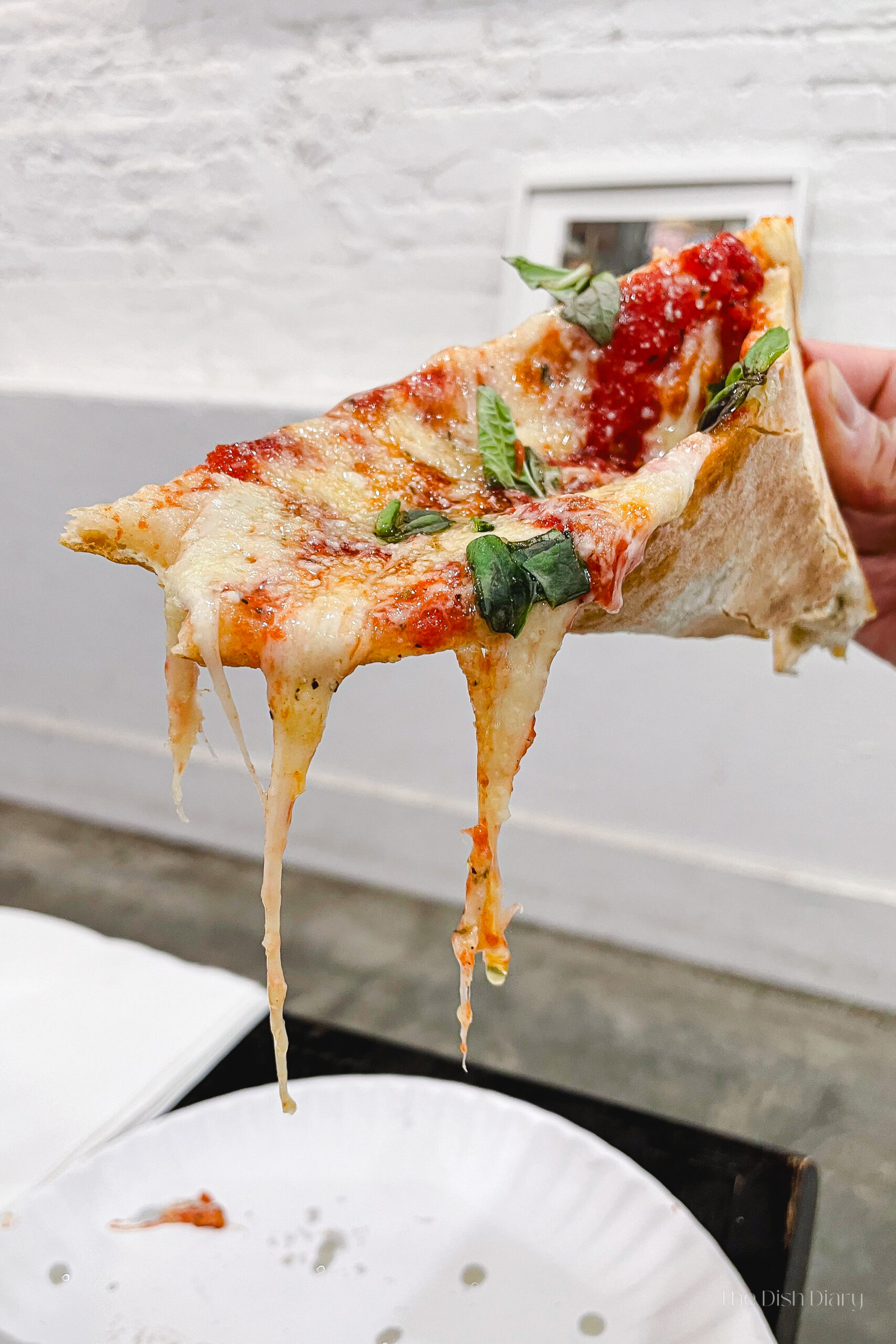 Di Fara Pizza - The Dish Diary