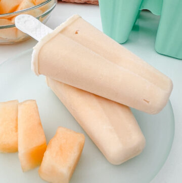 3-Ingredient Melon Ice Cream Bars - The Dish Diary