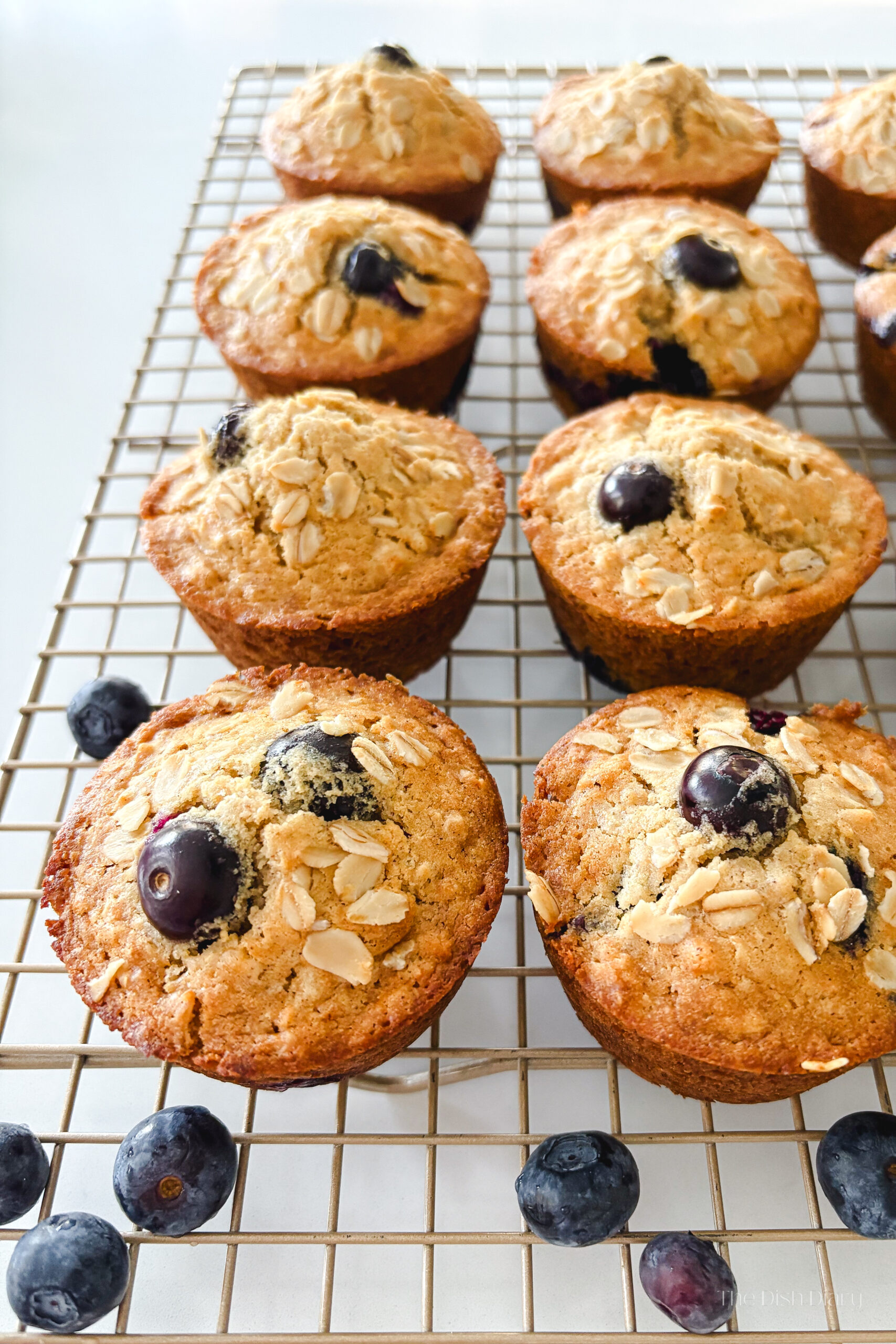 Blueberry Oatmeal Muffins - The Dish Diary